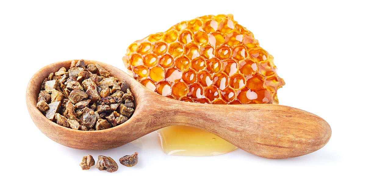 Propolis - Srpski med, Prodavnica meda
